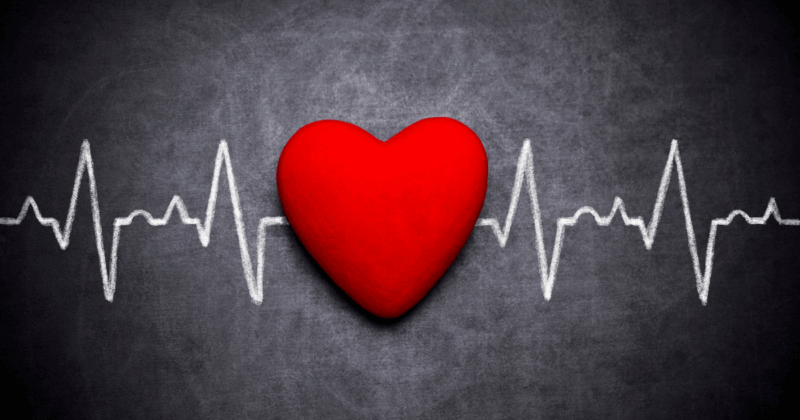 Normal Pulse Rates Explained: What’s Too High or Too Low?